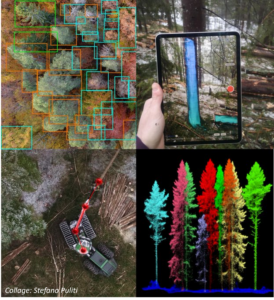 Deep Learning for Forest Remote Sensing Applications with Examples in Python – SmartForest