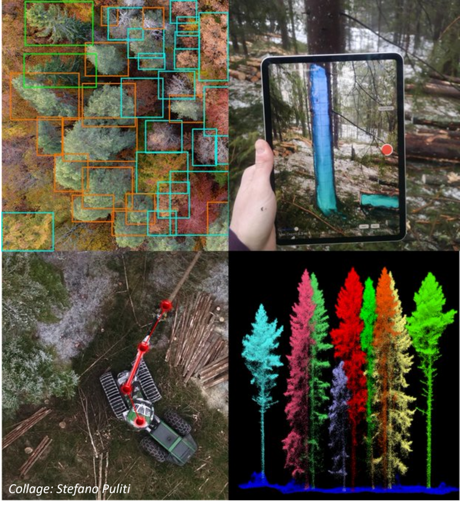 Deep Learning for Forest Remote Sensing Applications with Examples in ...