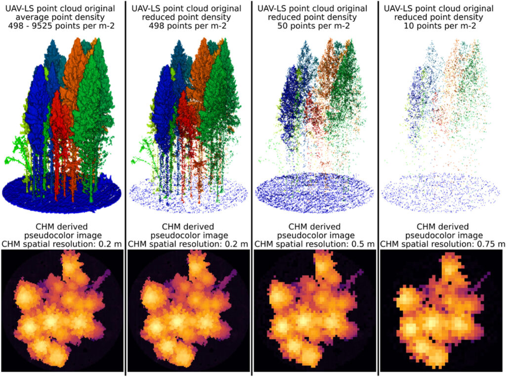 Instance Segmentation Of Individual Tree Crowns With Yolov5 A