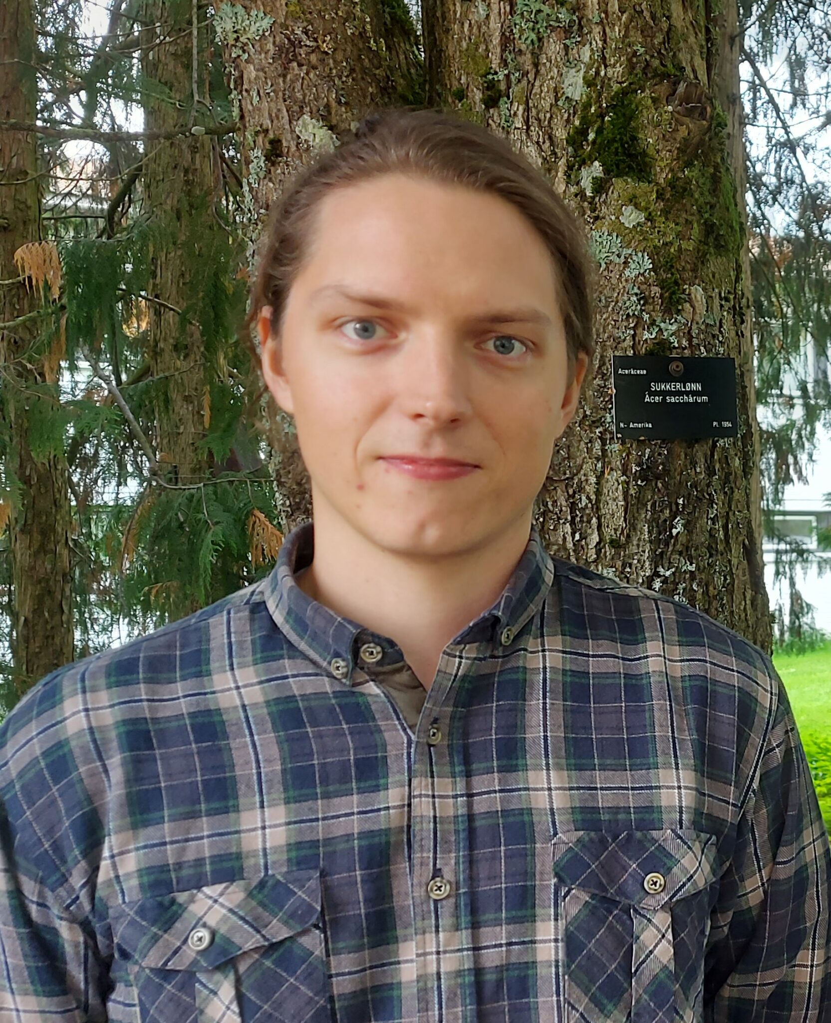 Julius Wold – SmartForest