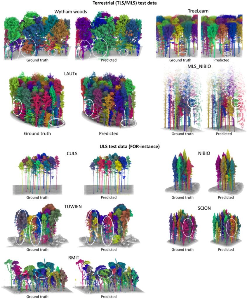 SegmentAnyTree: A sensor and platform agnostic deep learning model for ...