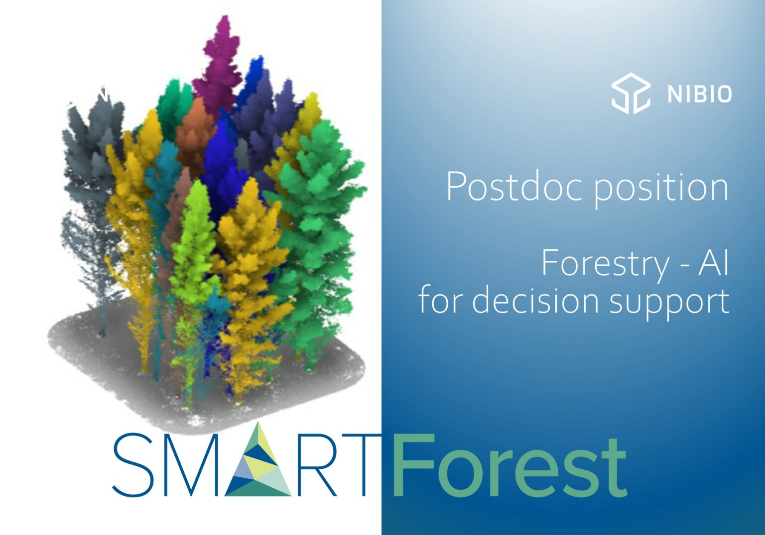 Postdoc – Forestry – AI for decision support – SmartForest